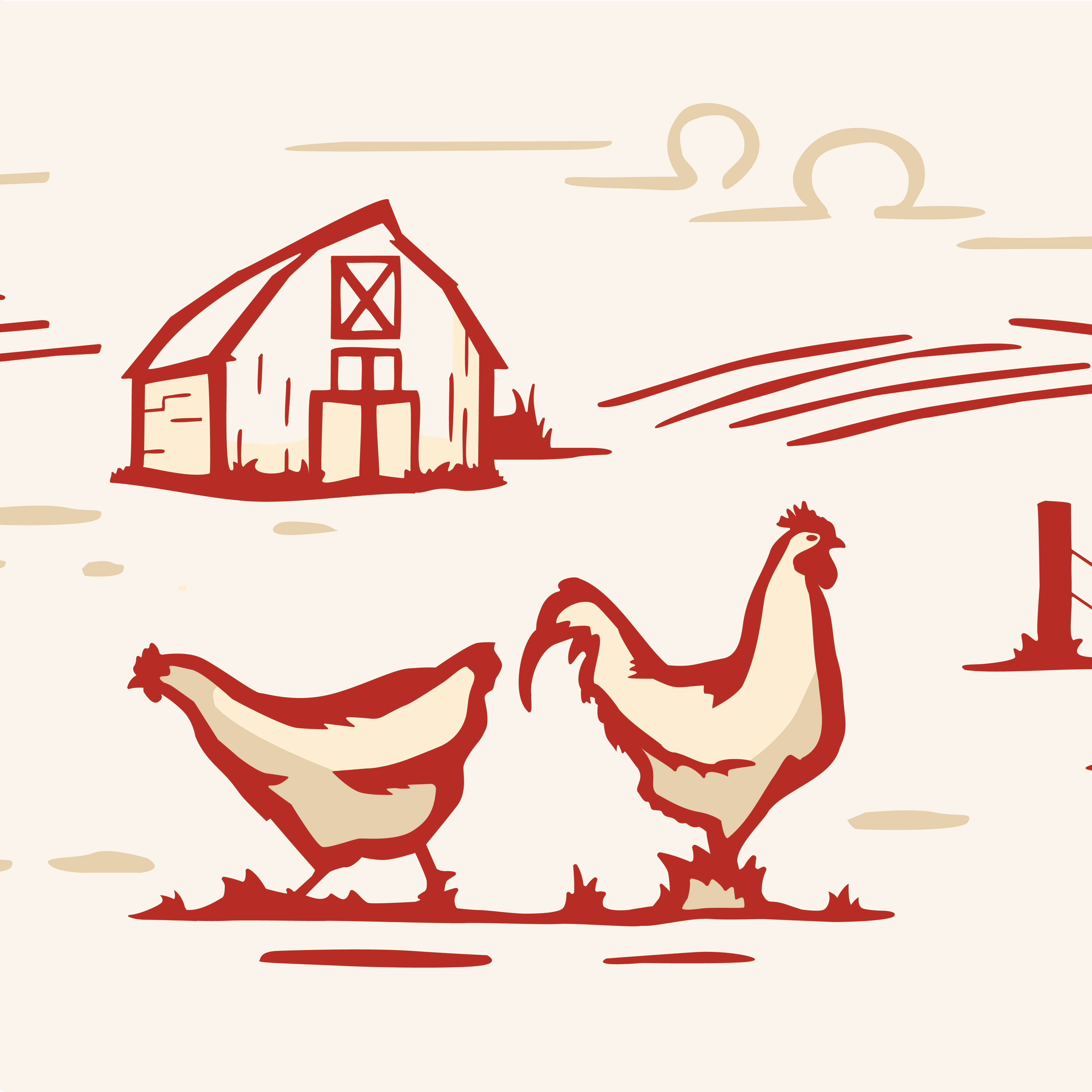 Poultry – Traditions Meat Co.